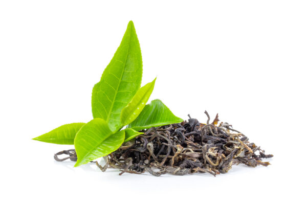 Emperor Shennong and the History of Tea – The Hawthorn Tree